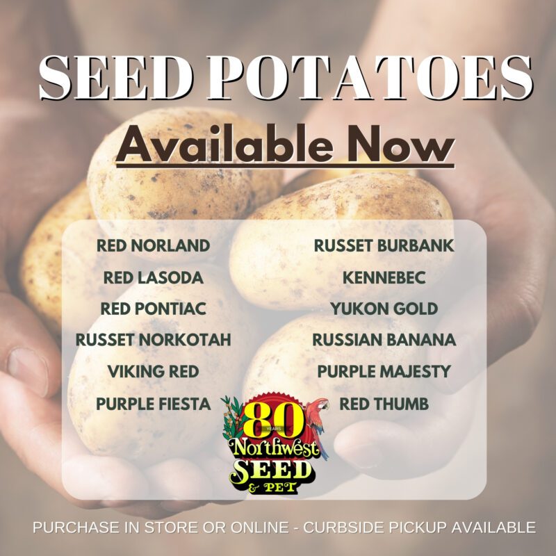 Wild Bird Feeding Preference Guide - Northwest Seed & Pet